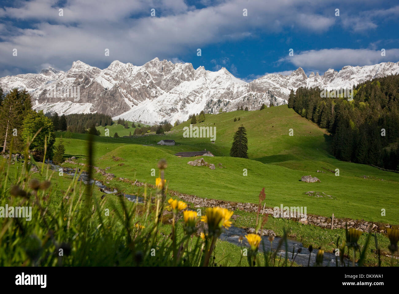 Switzerland Europe Alps mountain mountains Alp Luttertannen water ...