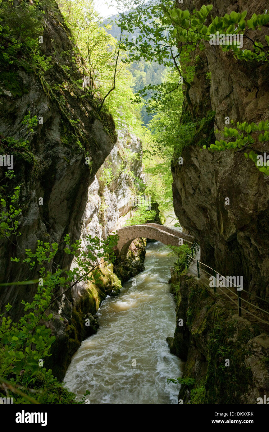 Switzerland Europe canton NE Neuenburg Neuchatel river flow brook body ...