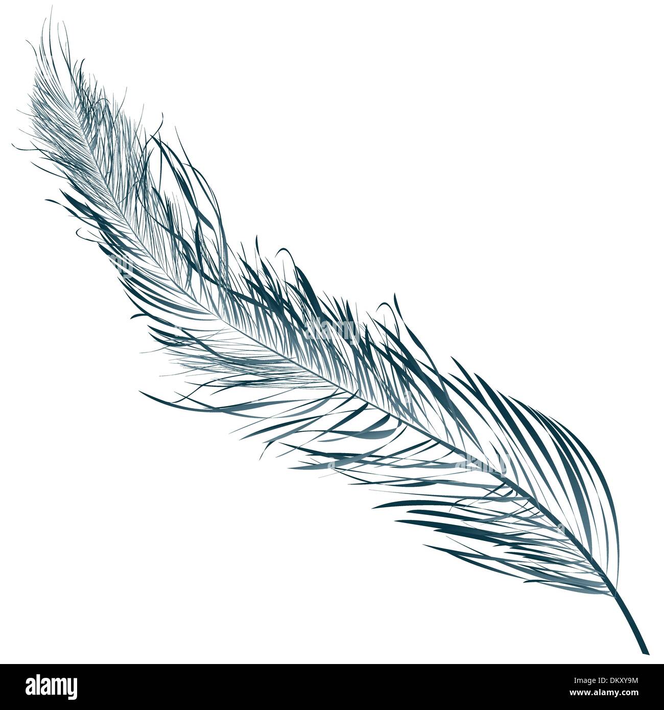 Hand white feather hi-res stock photography and images - Alamy