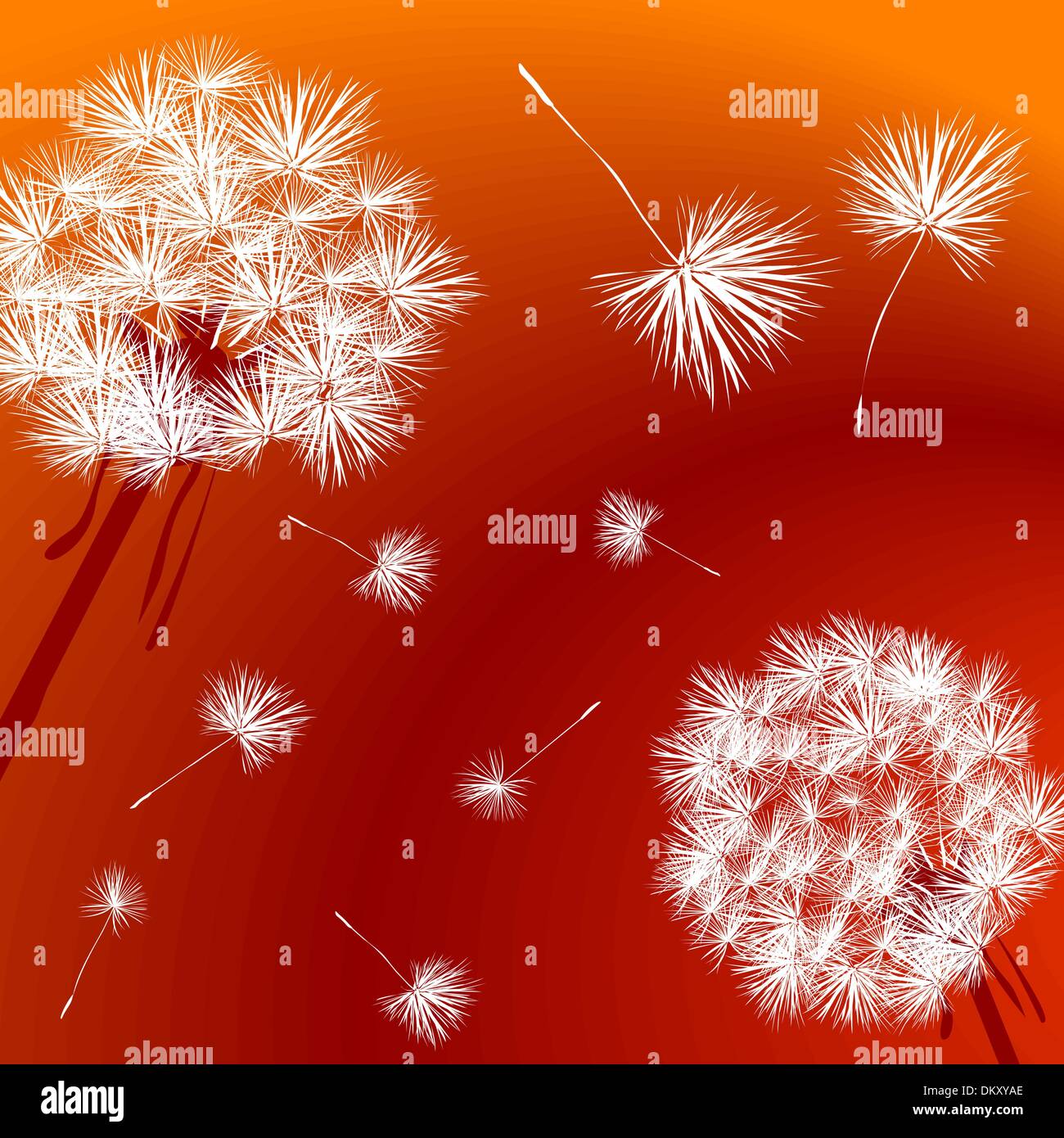 Dandelions background Stock Vector Images - Alamy
