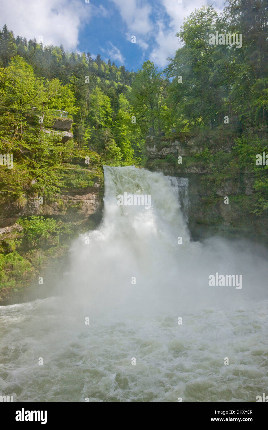Switzerland Europe Les Brenets wood forest Saut du Doubs river flow ...