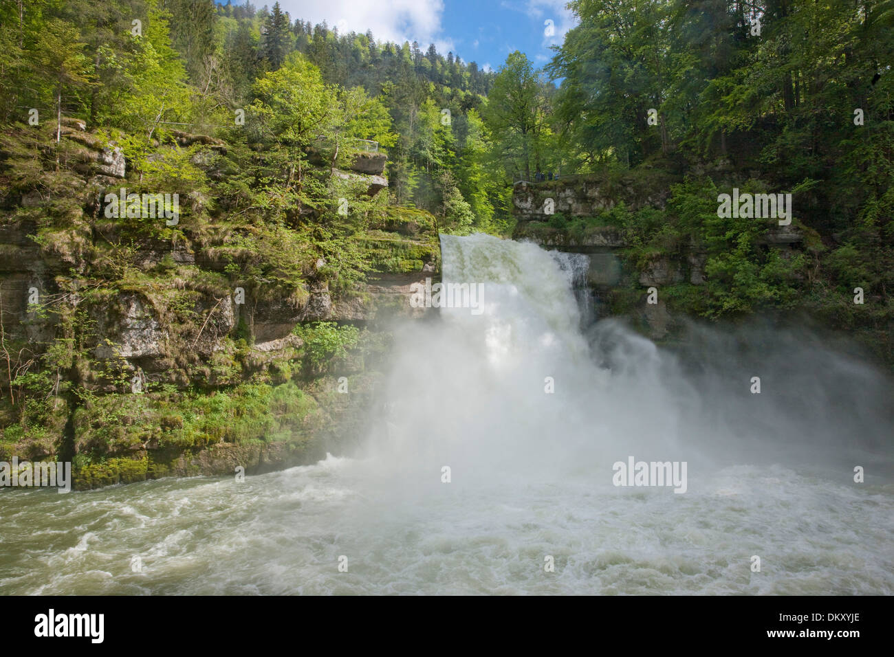 Switzerland Europe Les Brenets wood forest Saut du Doubs river flow ...