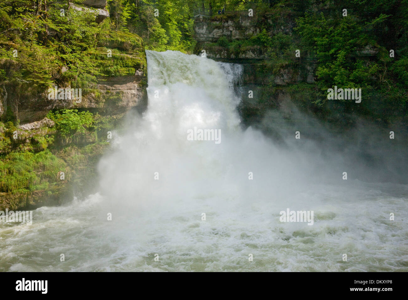 Switzerland Europe Les Brenets wood forest Saut du Doubs river flow ...