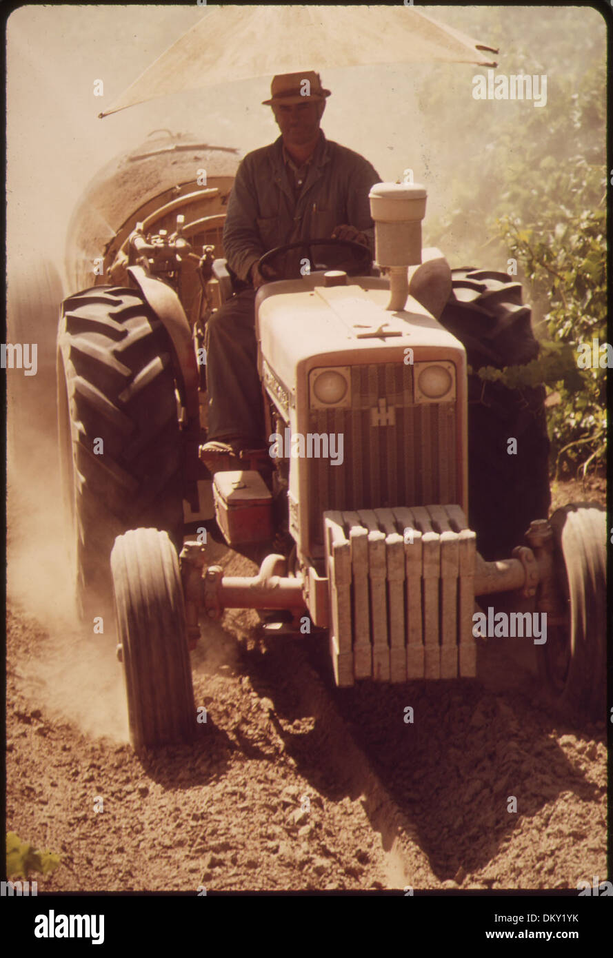 Bob Martinez is shown spraying grape vines, a necessary step in ...