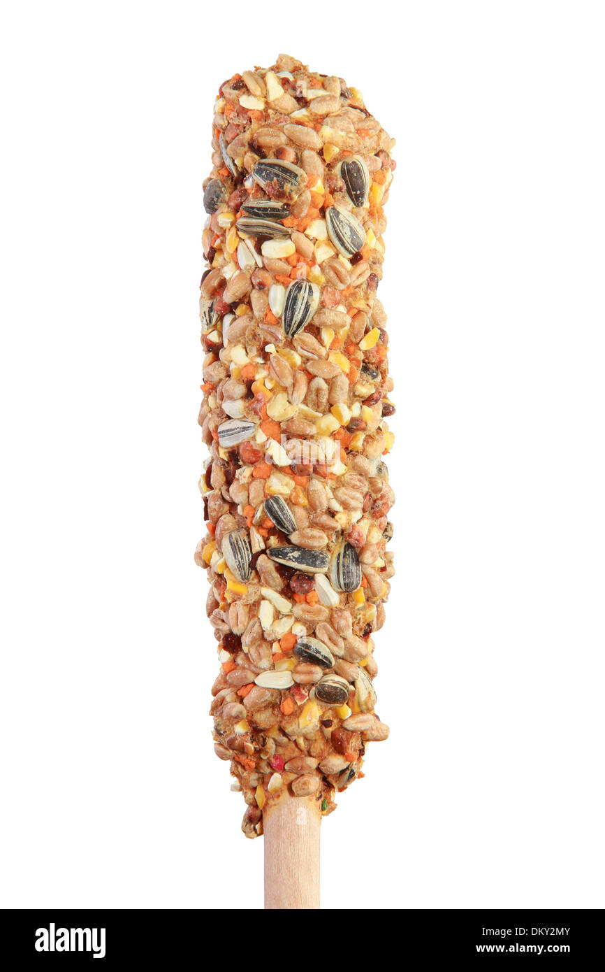 seed grain cereal stick isolated on white Stock Photo - Alamy