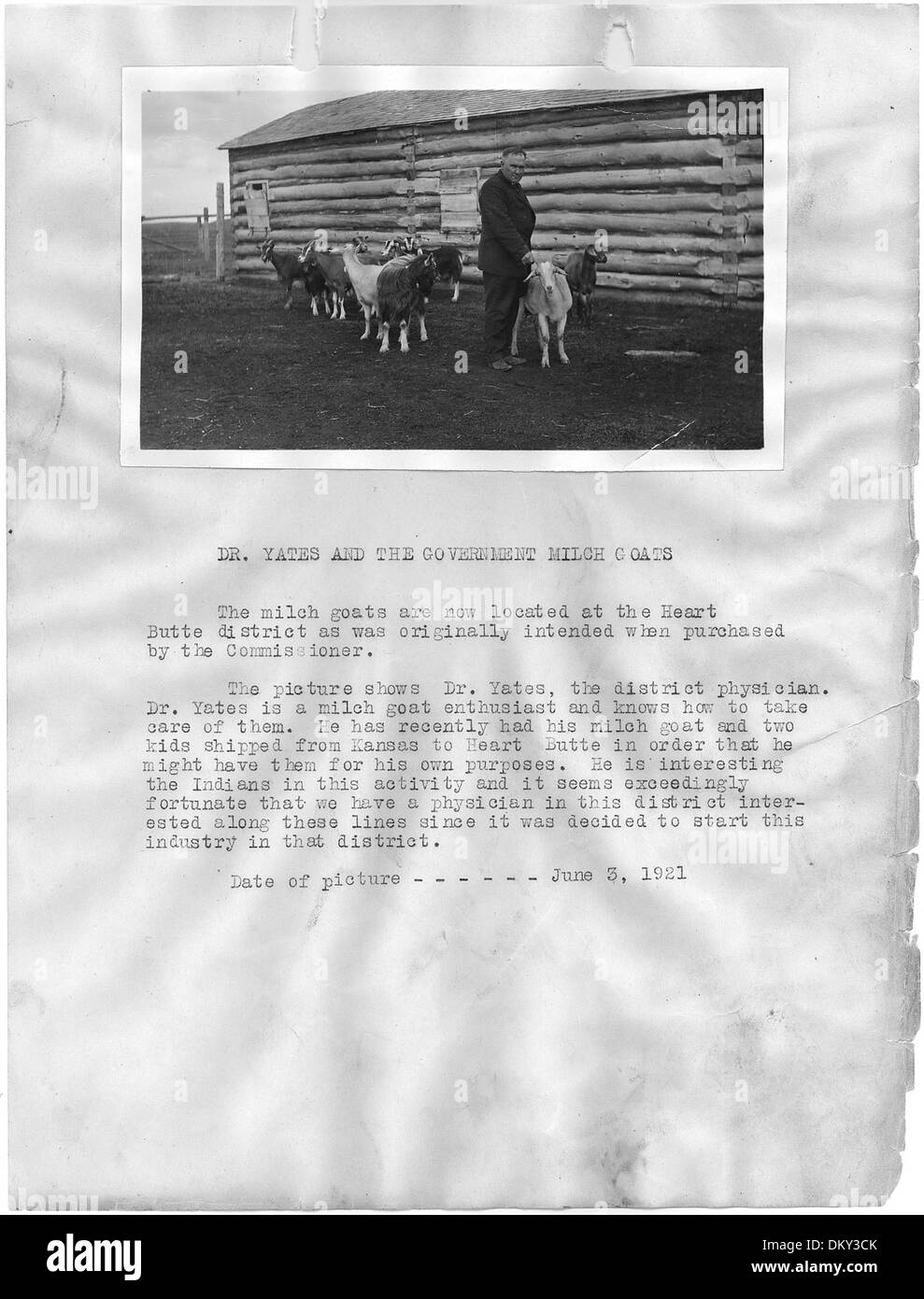 Milch animal Black and White Stock Photos & Images - Alamy