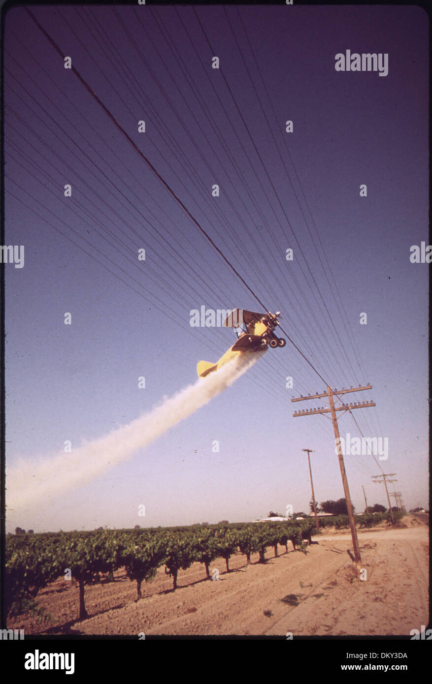 Dusting grape vines hi-res stock photography and images - Alamy