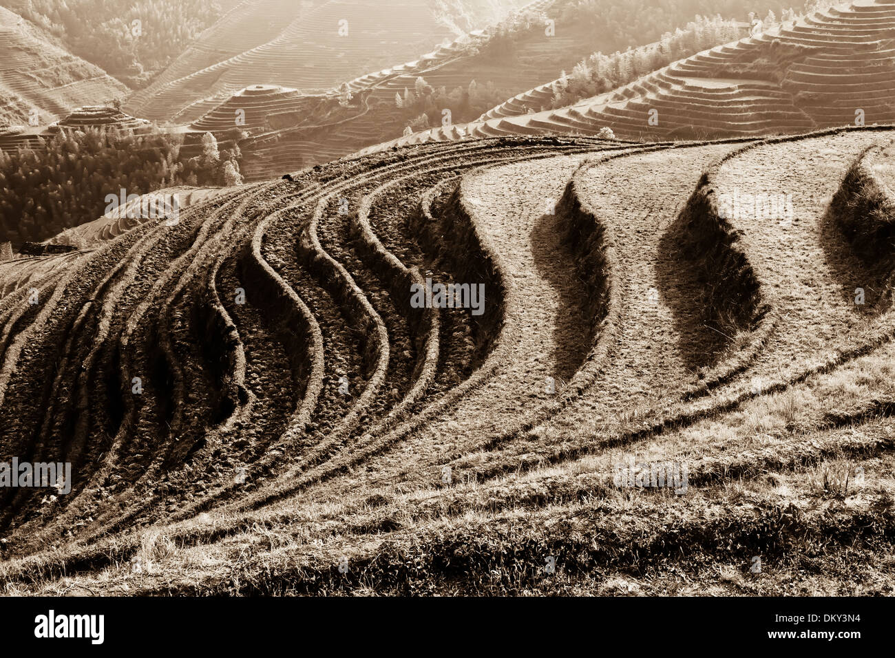 The rice terraces in China Stock Photo - Alamy