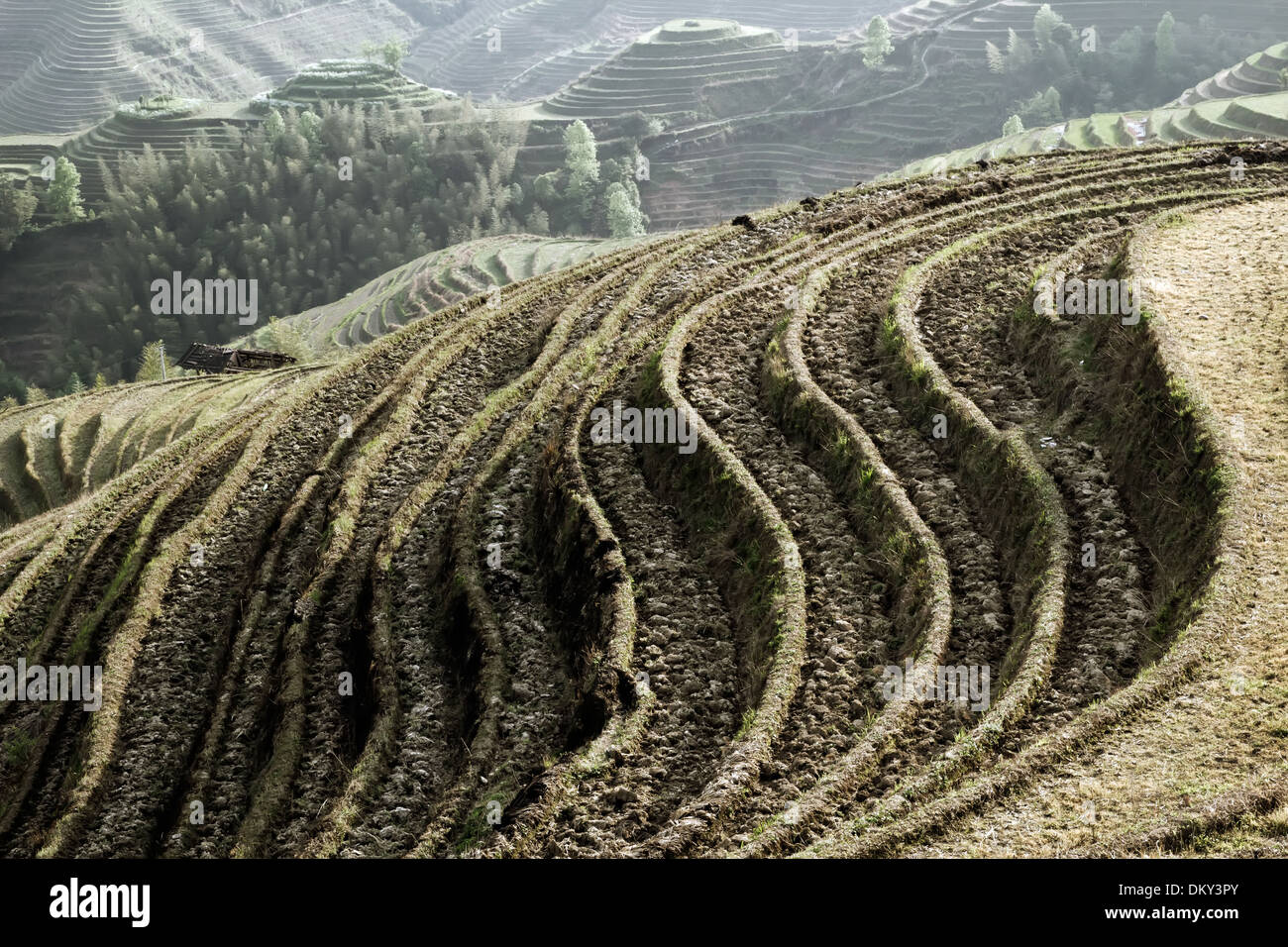 The rice terraces in China Stock Photo - Alamy