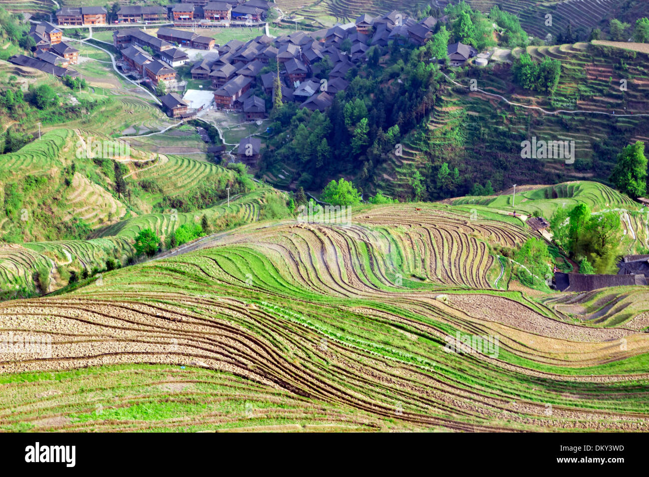 The rice terraces in China Stock Photo - Alamy