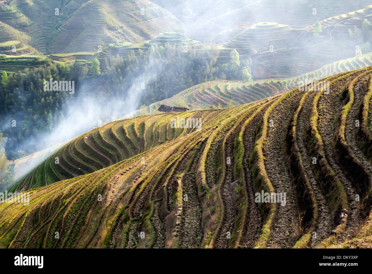 The rice terraces in China Stock Photo - Alamy