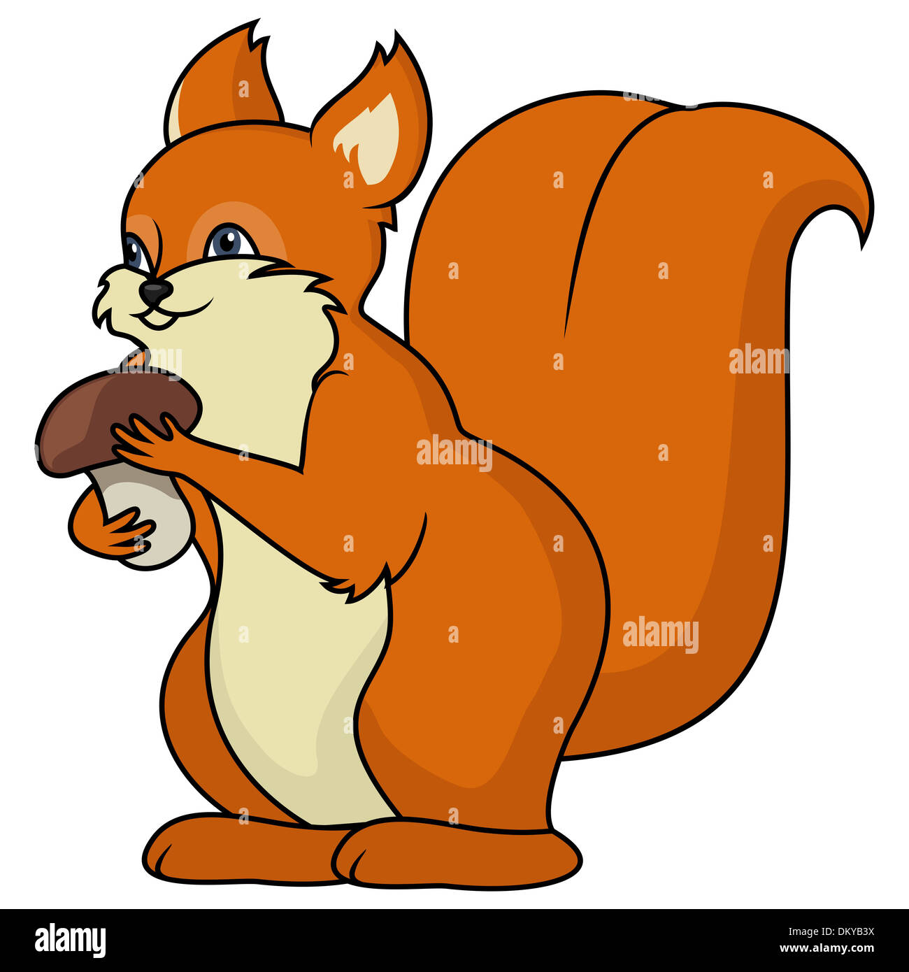 Cartoon squirrel holding acorn hi-res stock photography and images - Alamy
