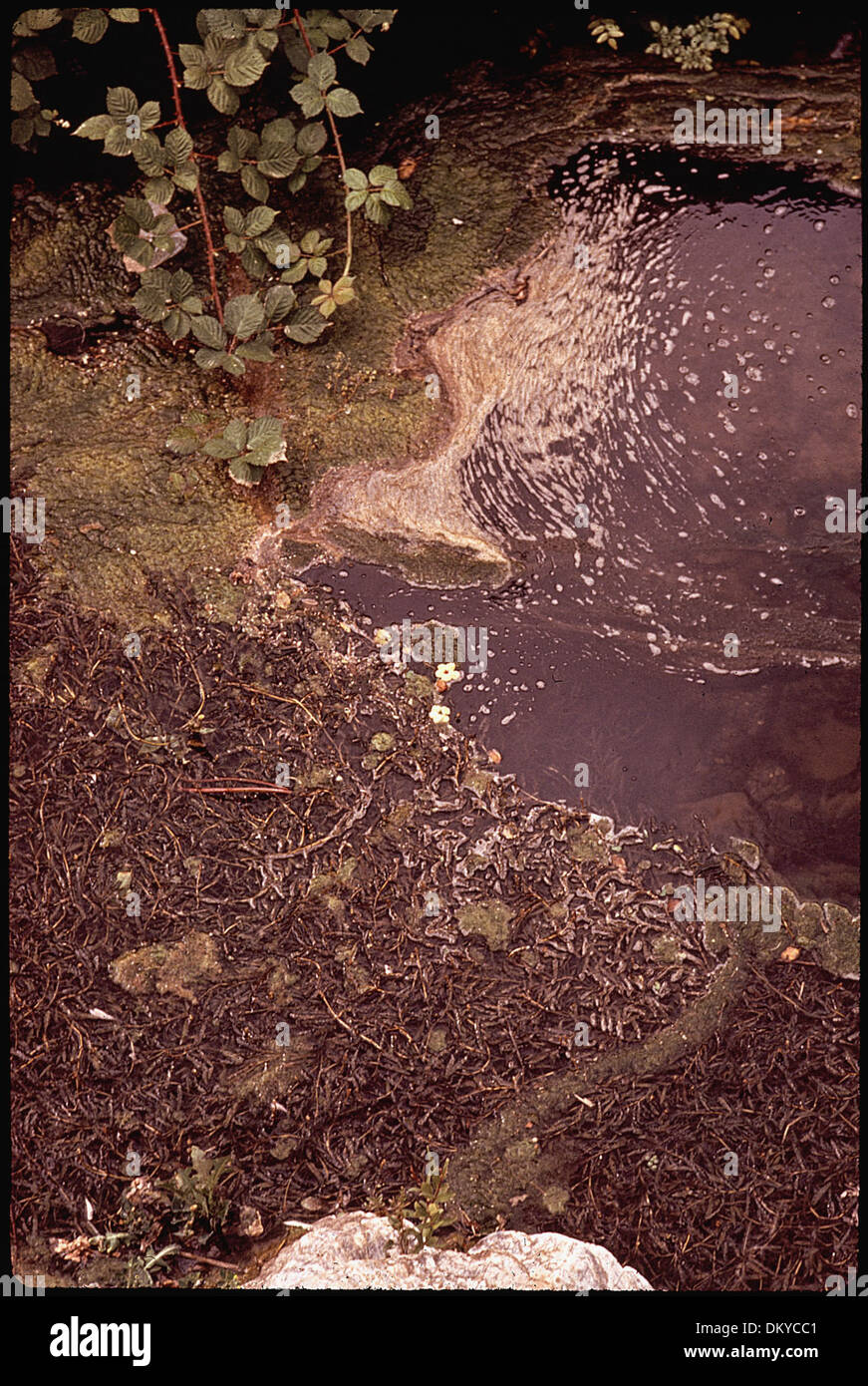 The polluted creek shown here highlights the environmental issue of ...