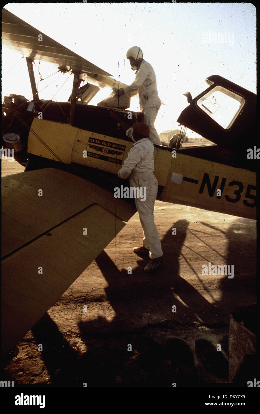 In May 1972, workers prepare to sulfur-dust grape vines, a key ...