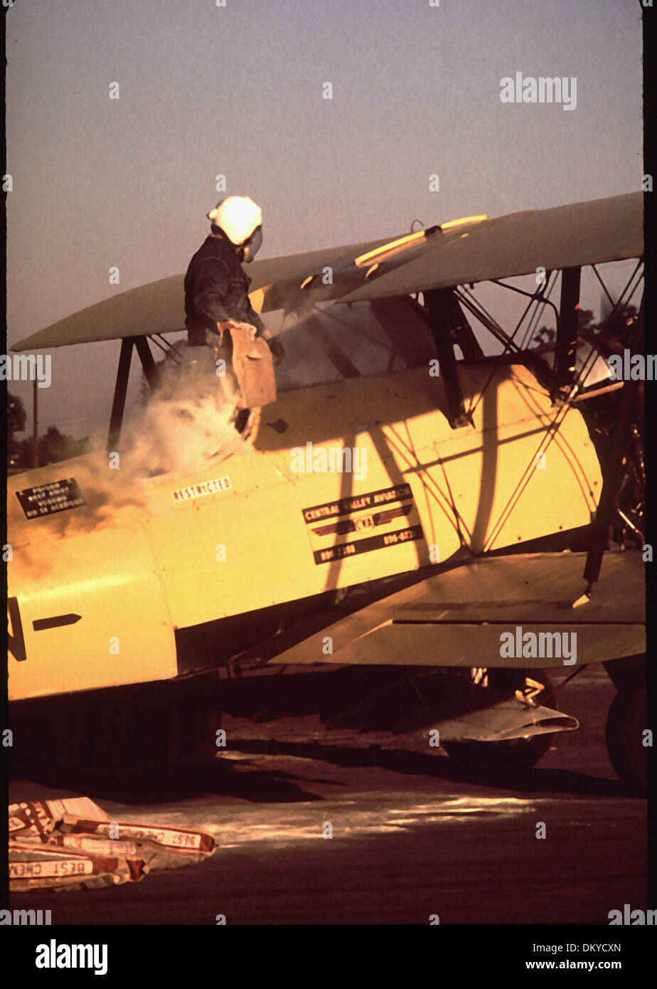 This image shows the preparation of sulfur dusting on grape vines, a ...