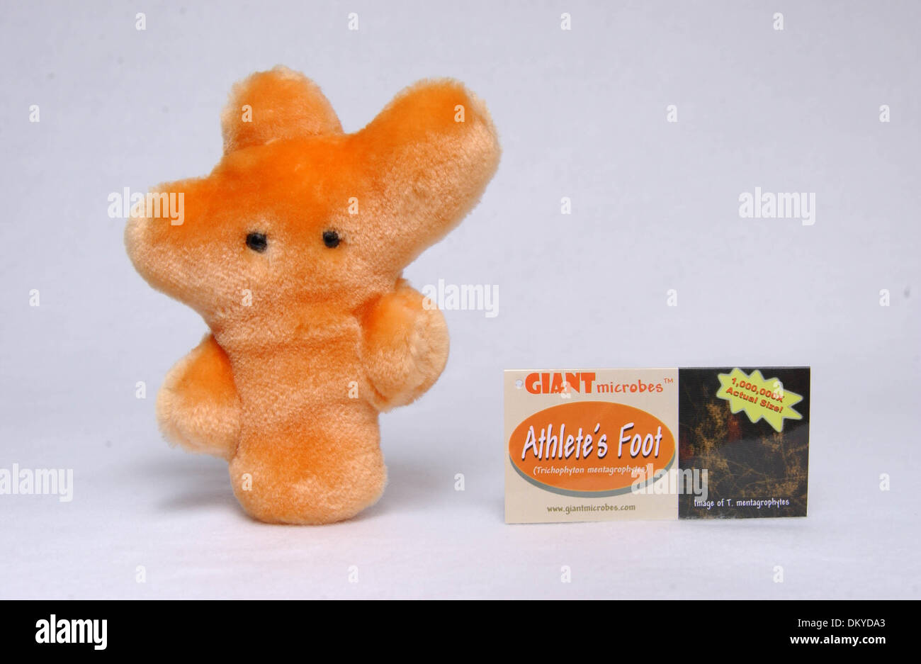 June 19, 2001 - K41266AR .GIANT MICROBES . ANDREA RENAULT/ EAR ATHLETE ...