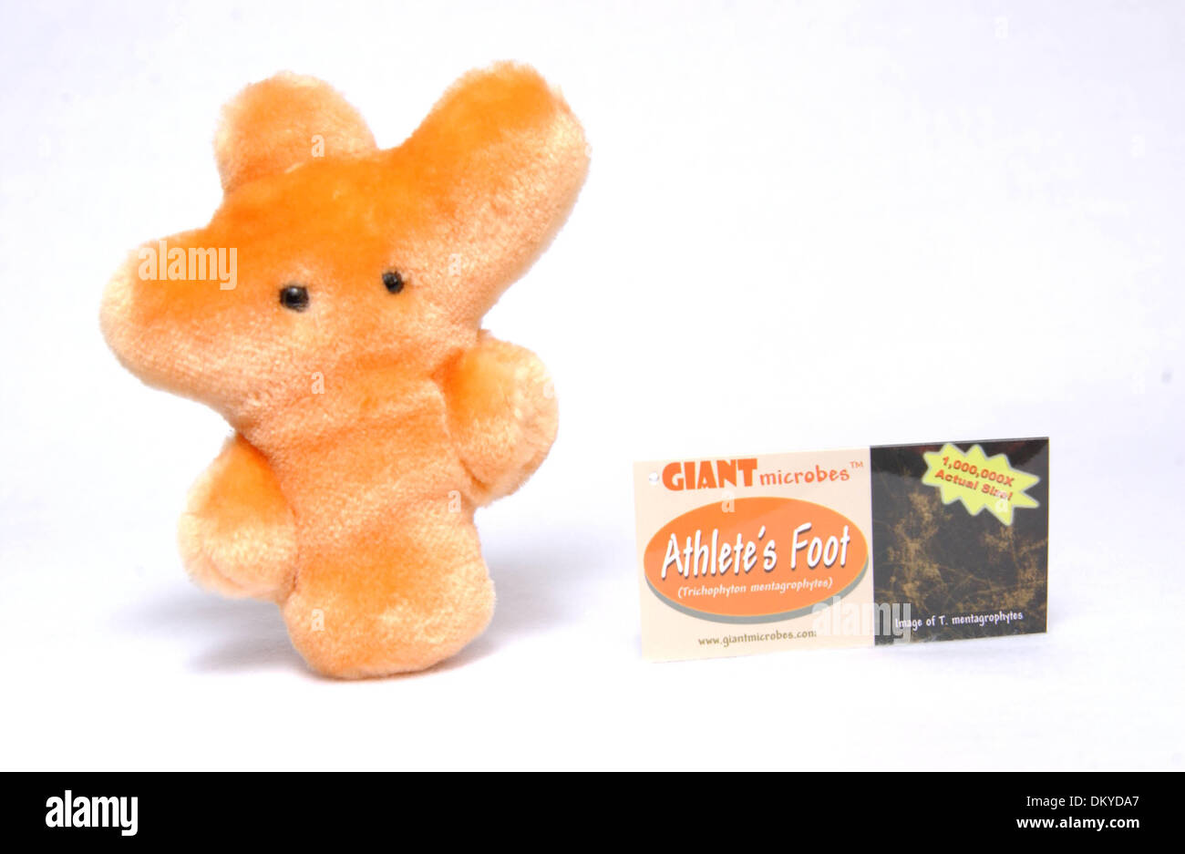 June 19, 2001 - K41266AR .GIANT MICROBES . ANDREA RENAULT/ EAR ATHLETE ...
