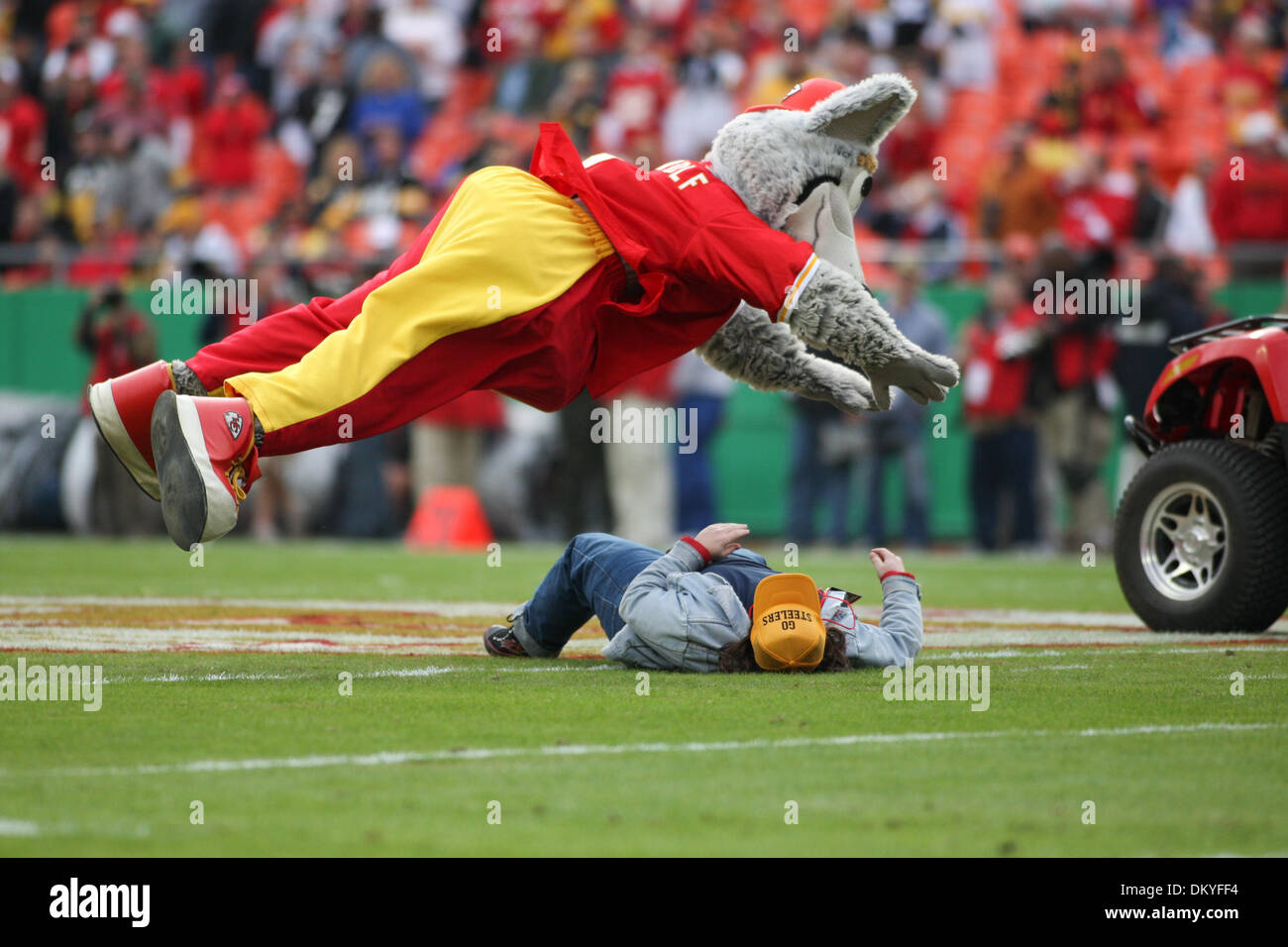 Kc Wolf Tackles Fan