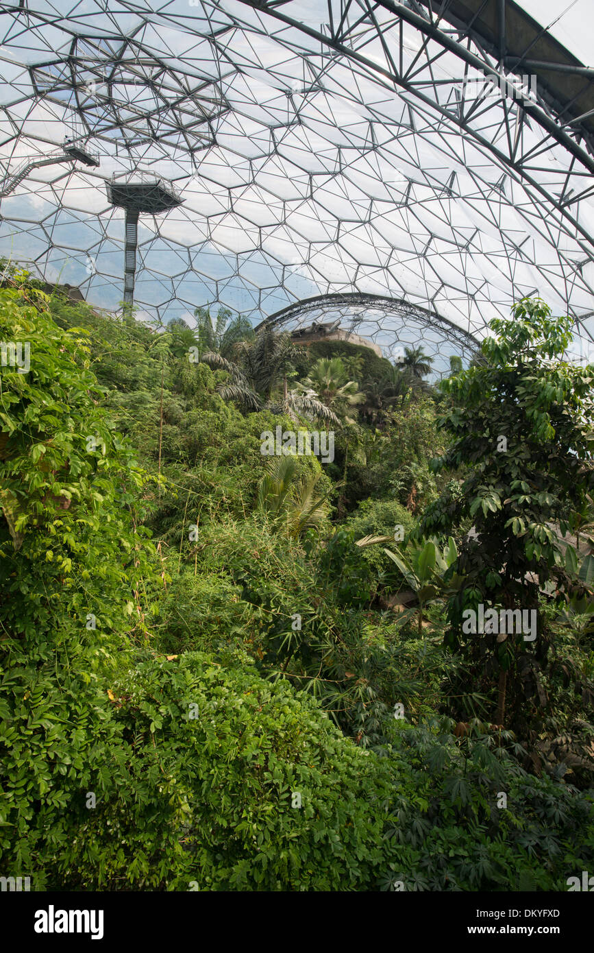 Tropical Biome, Eden Project, Cornwall, England, UK Stock Photo - Alamy