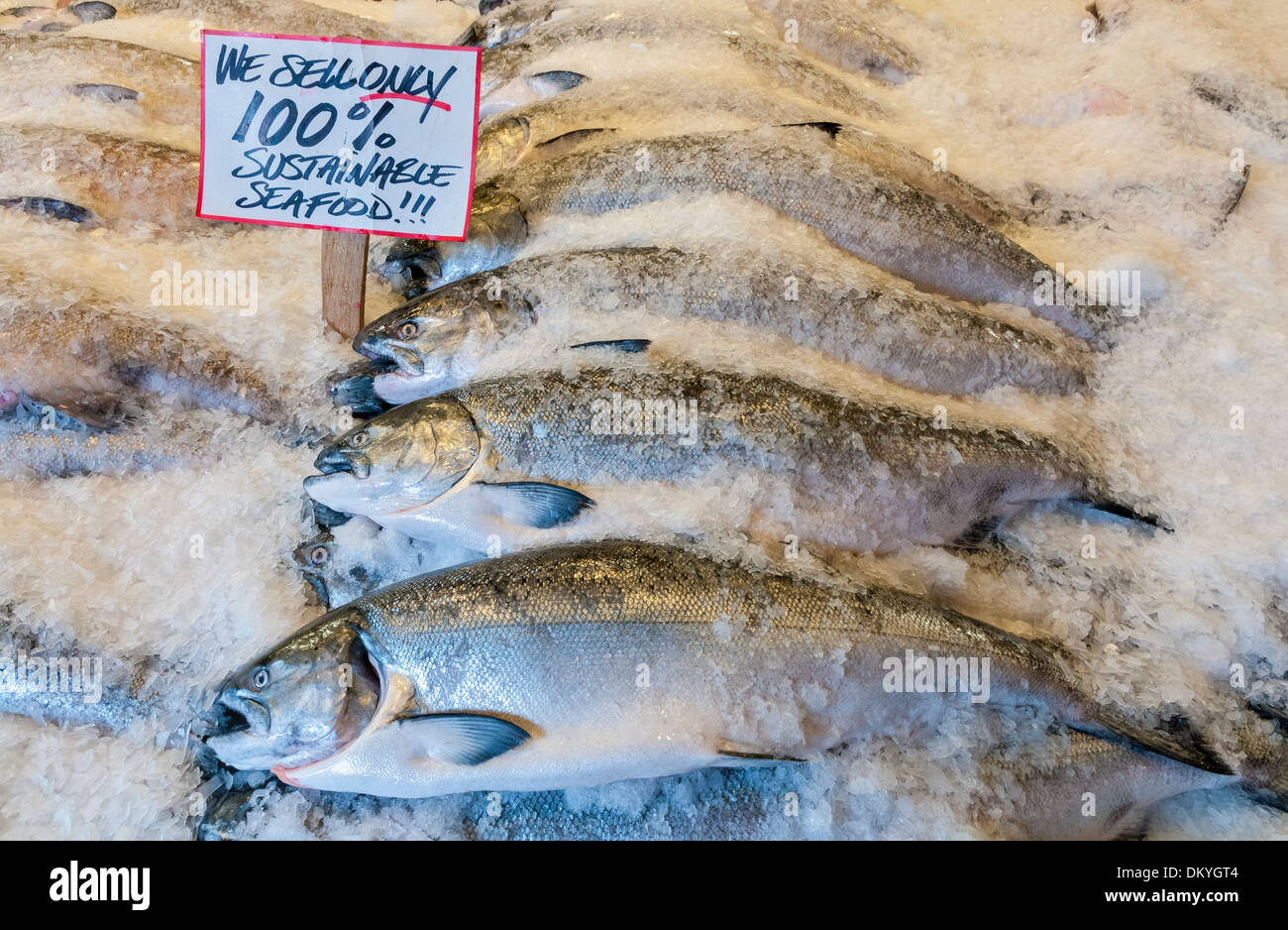 Washington, Seattle, Pike Place Market, seafood, salmon Stock Photo - Alamy