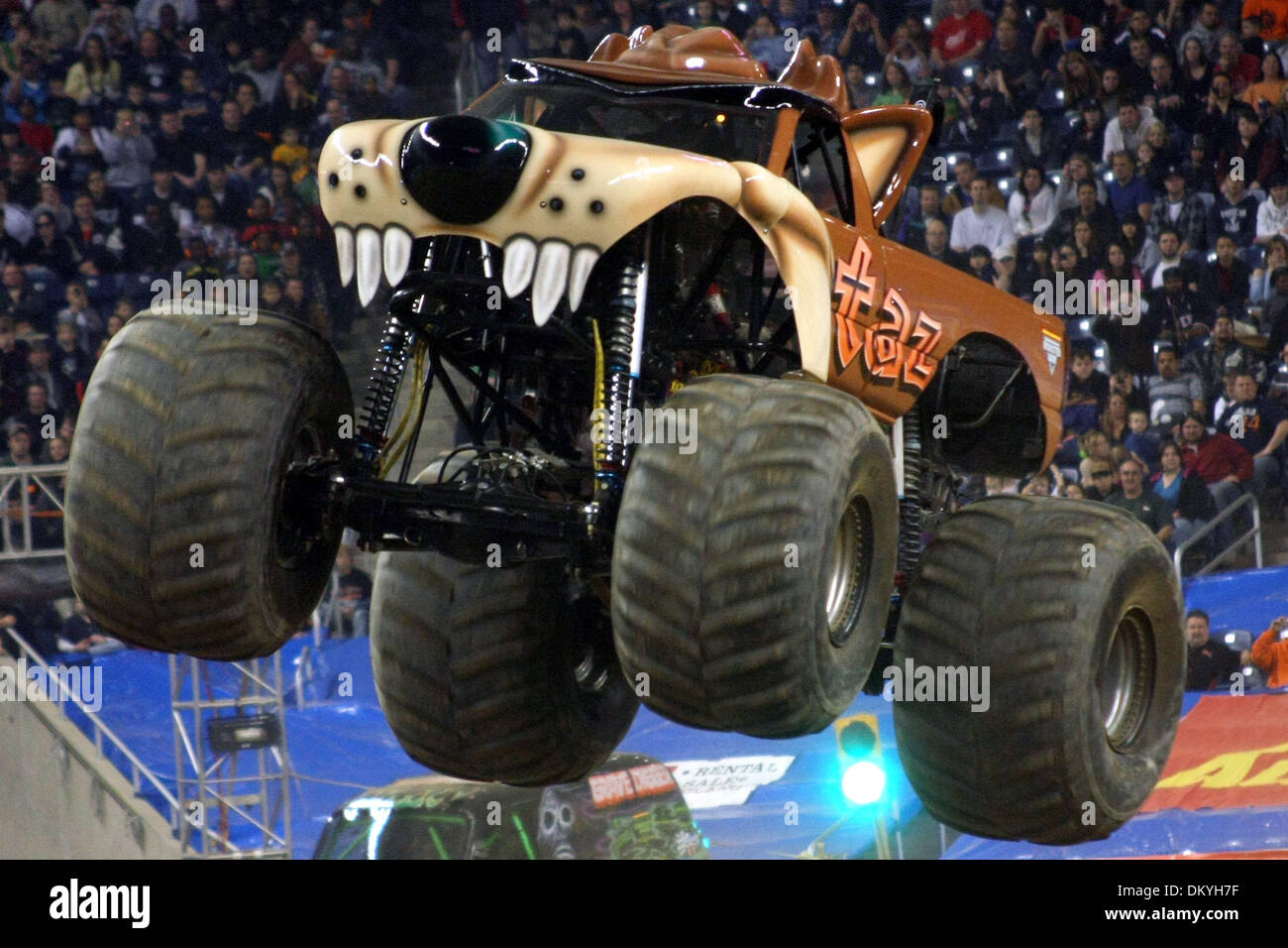 Jan. 16, 2010 - Detroit, Michigan, U.S - 16 January 2010: Taz gets some ...