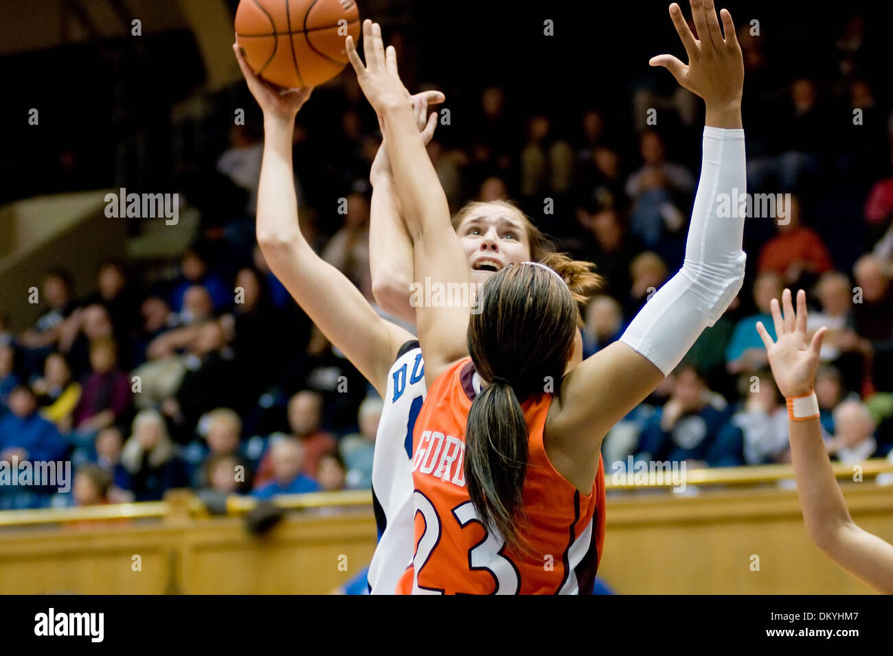 Brittany s dukes hi-res stock photography and images - Alamy