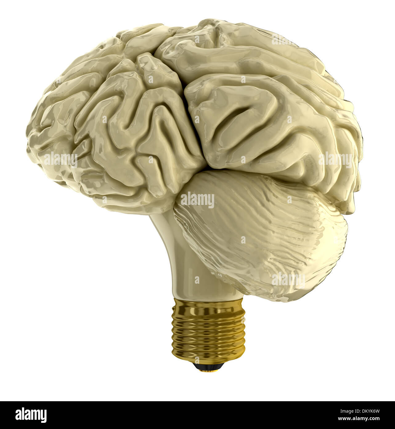 Light bulb human brain Stock Photo - Alamy