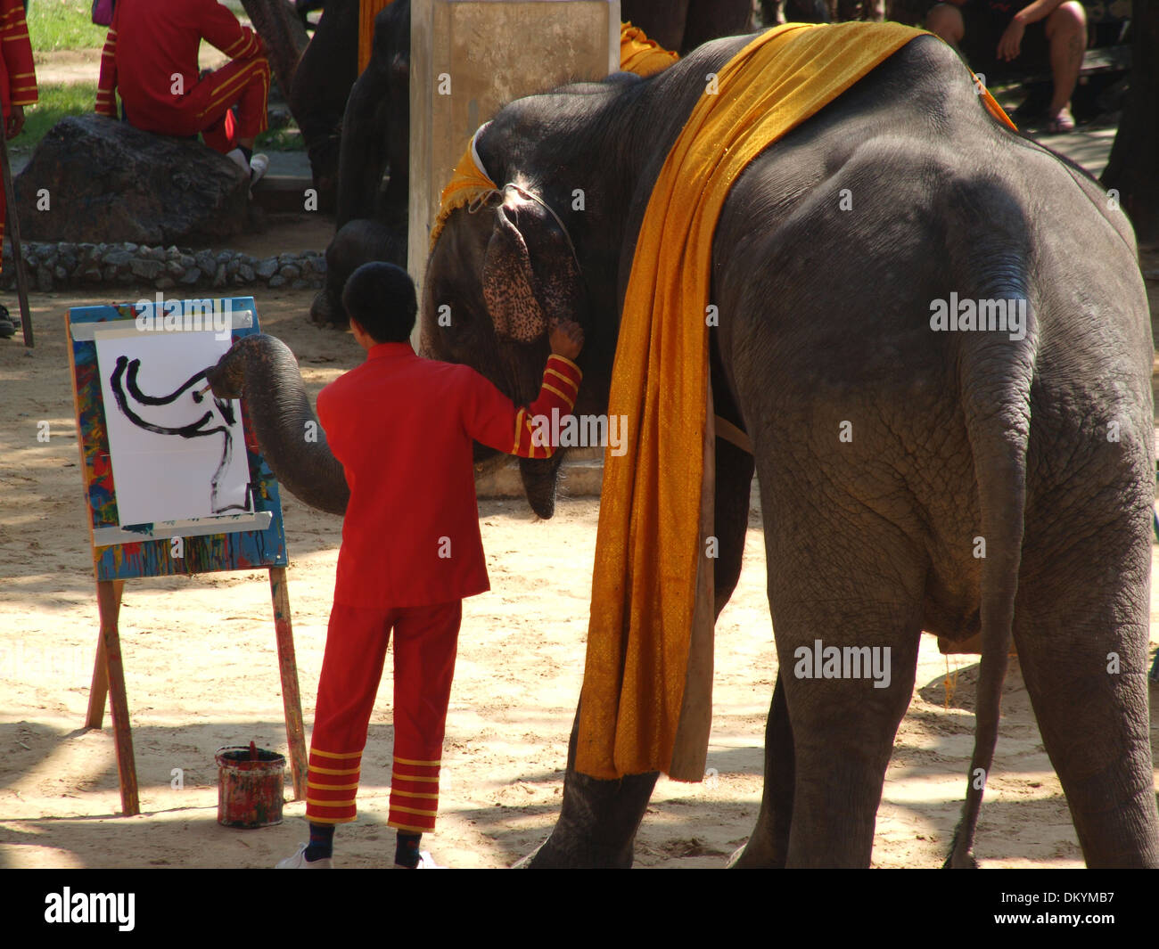 Elephant is painting a self-portrait Stock Photo - Alamy