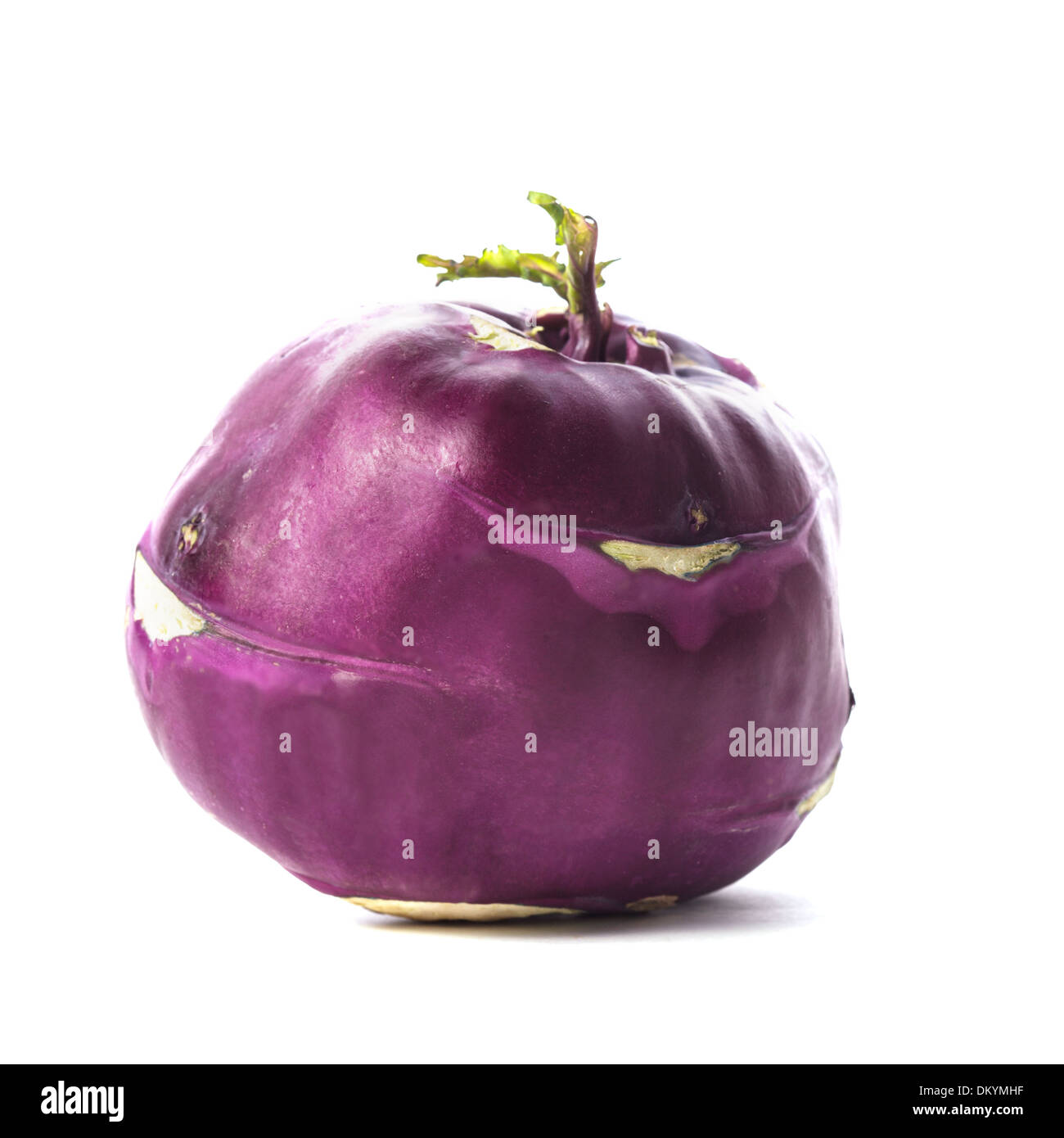 Kohlrabi root isolated on white background Stock Photo - Alamy