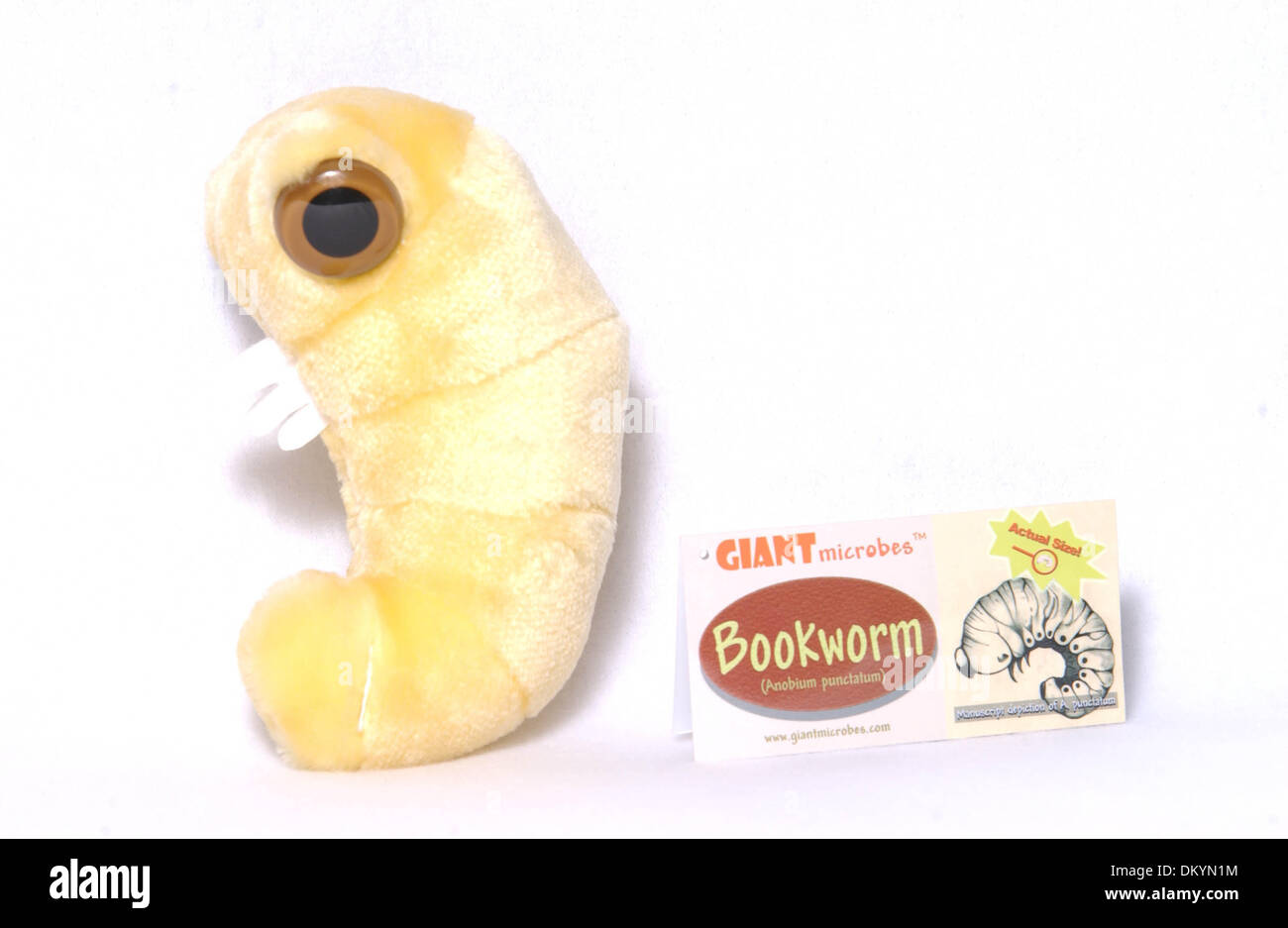 Giant photos Cut Out Stock Images & Pictures - Alamy