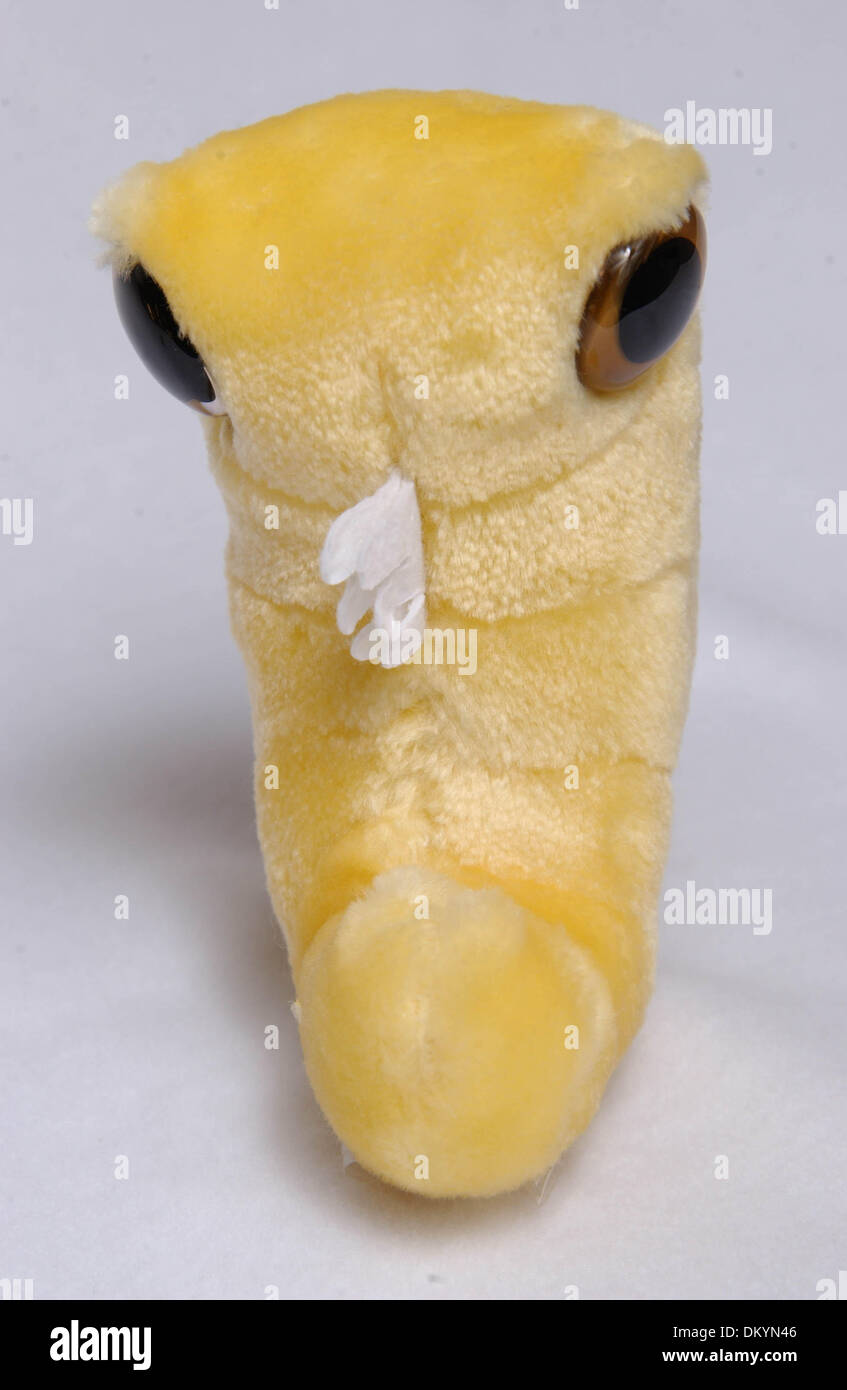 June 19, 2001 - K41266AR2.GIANT MICROBES . ANDREA RENAULT/ BOOKWORM ...