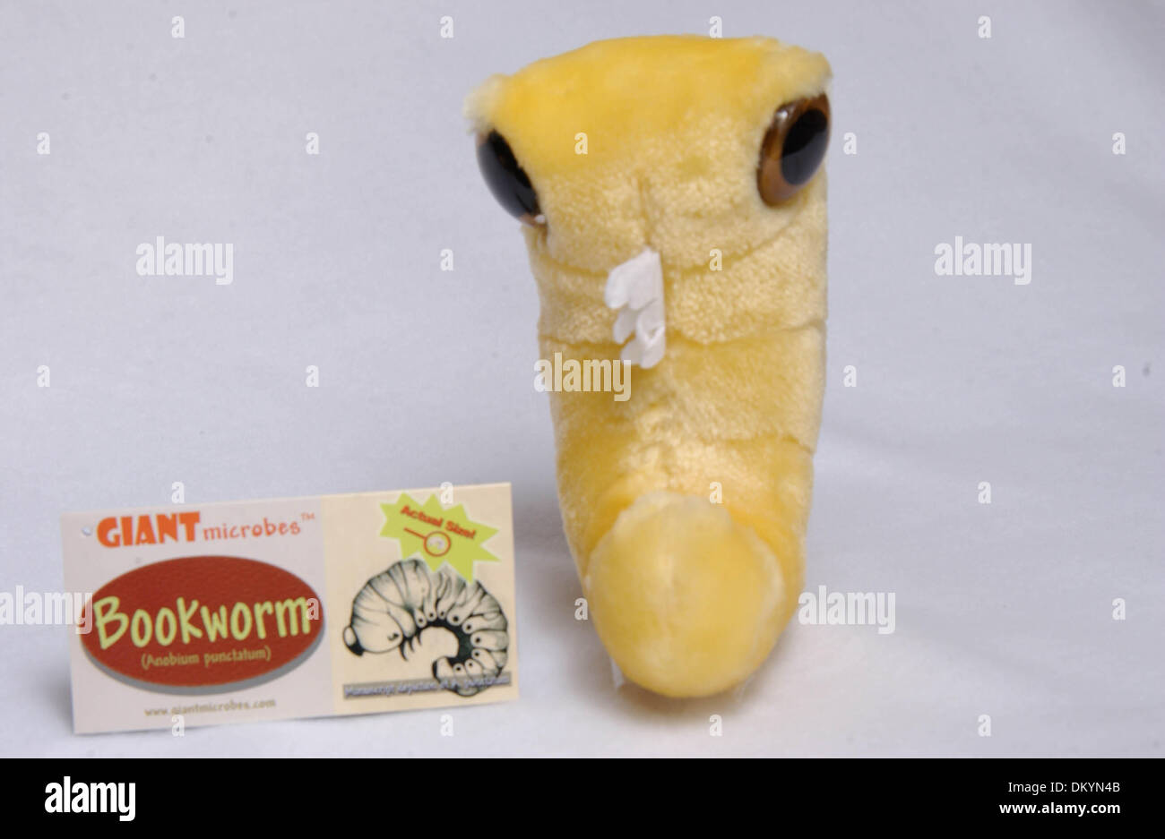 June 19, 2001 - K41266AR2.GIANT MICROBES . ANDREA RENAULT/ BOOKWORM ...