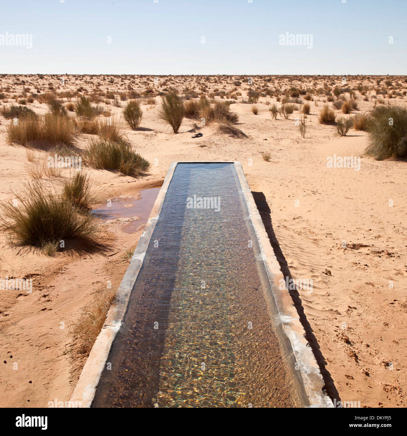 Water reservoir in the Sahara Stock Photo - Alamy