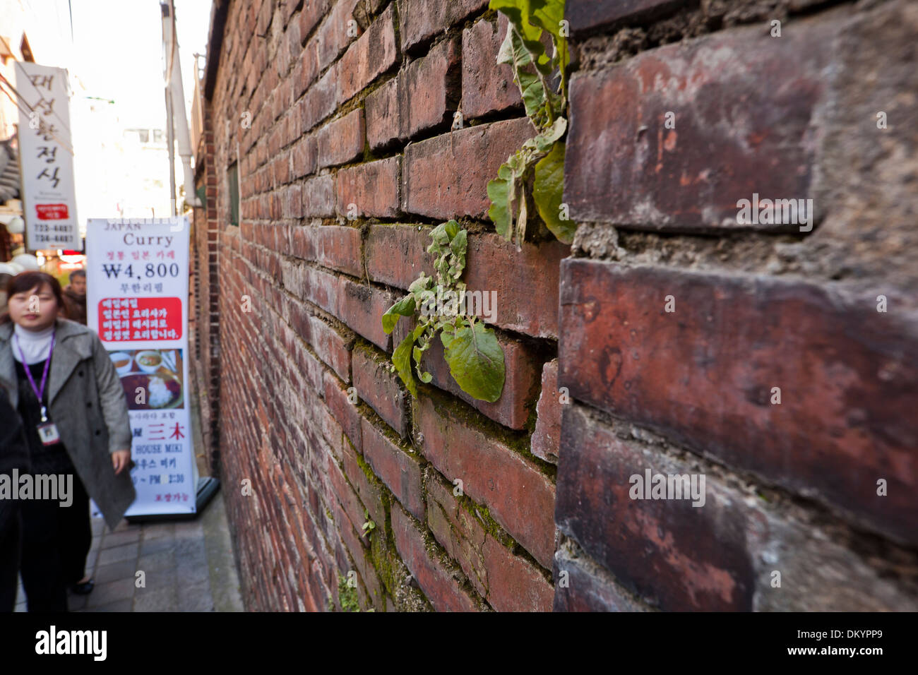 Weeds wall hi-res stock photography and images - Alamy