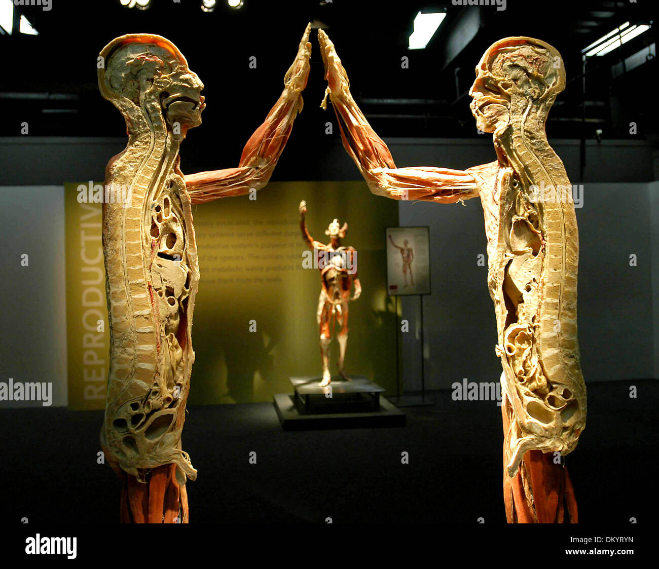 Oct. 3, 2002 - New York, NEW YORK - ''BODIES'' SHOW IN SOUTH STREET ...