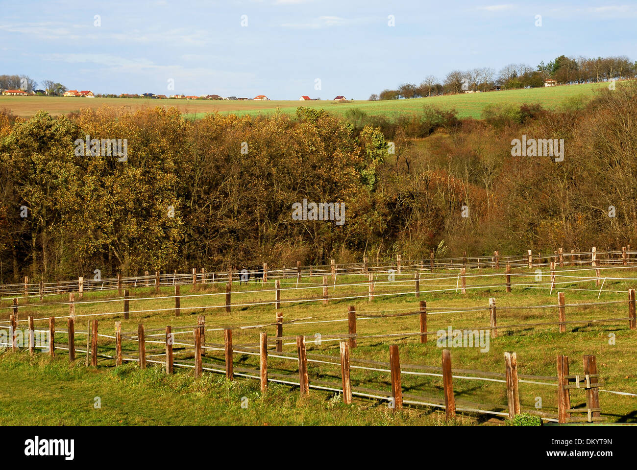 Wooden corral hi-res stock photography and images - Alamy
