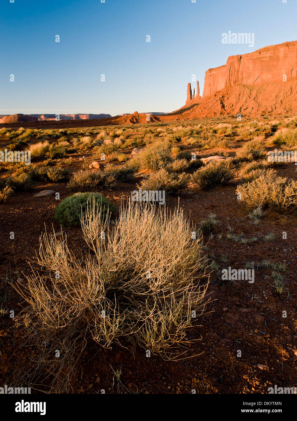 Artists point monument valley hi-res stock photography and images - Alamy