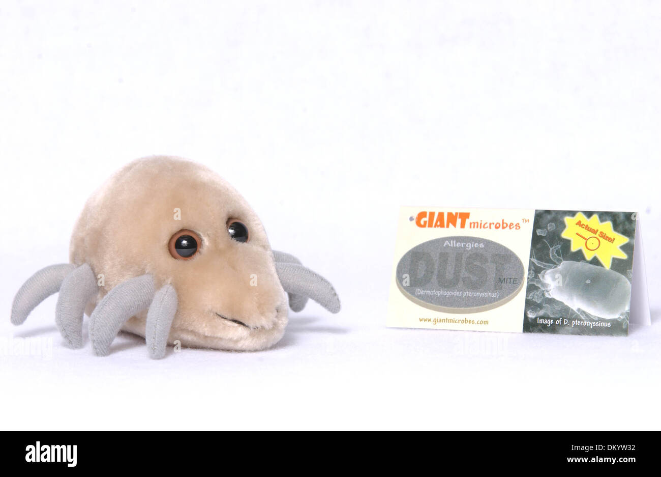 June 16, 2001 - .K41227AR .GIANT MICROBES. ANDREA RENAULT/ DUST MITE ...
