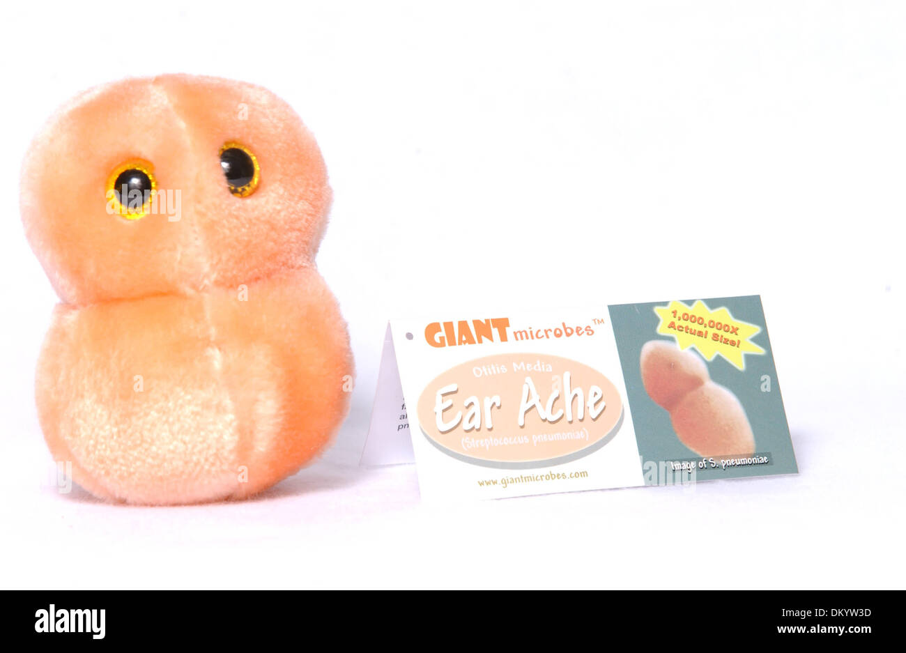 June 16, 2001 - K41227AR .GIANT MICROBES. ANDREA RENAULT/ EAR ACHE (S ...