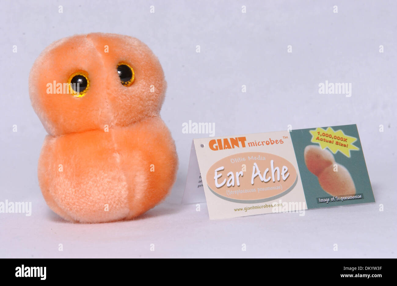 June 16, 2001 - K41227AR .GIANT MICROBES. ANDREA RENAULT/ EAR ACHE (S ...