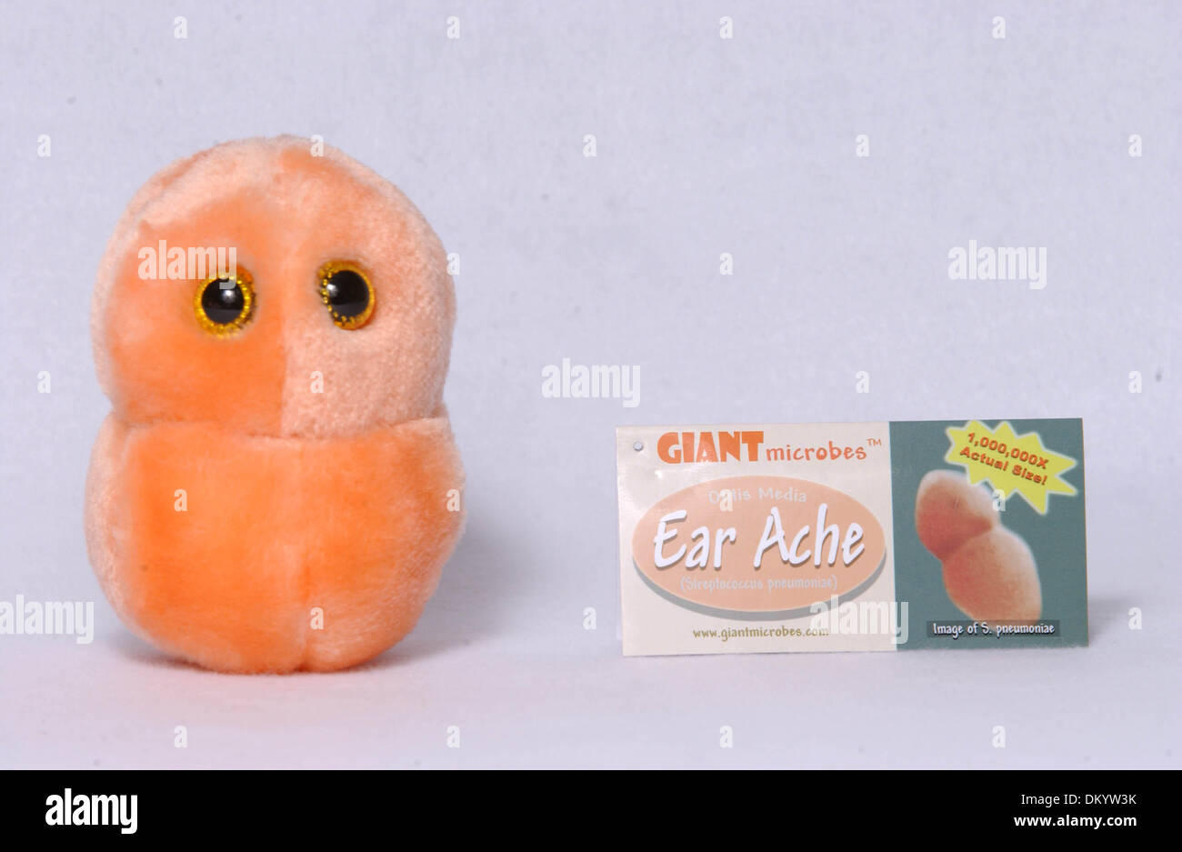 June 16, 2001 - K41227AR .GIANT MICROBES. ANDREA RENAULT/ EAR ACHE (S ...