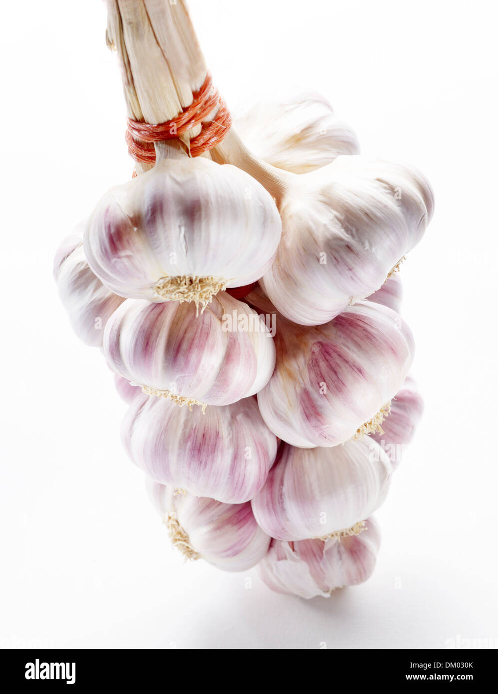 garlic string isolated on a white background with shadow Stock Photo ...