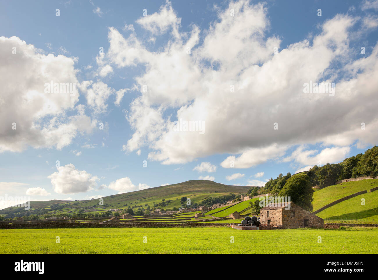 Field barns at Gunnerside, Swaledale, Yorkshire Dales National Park ...