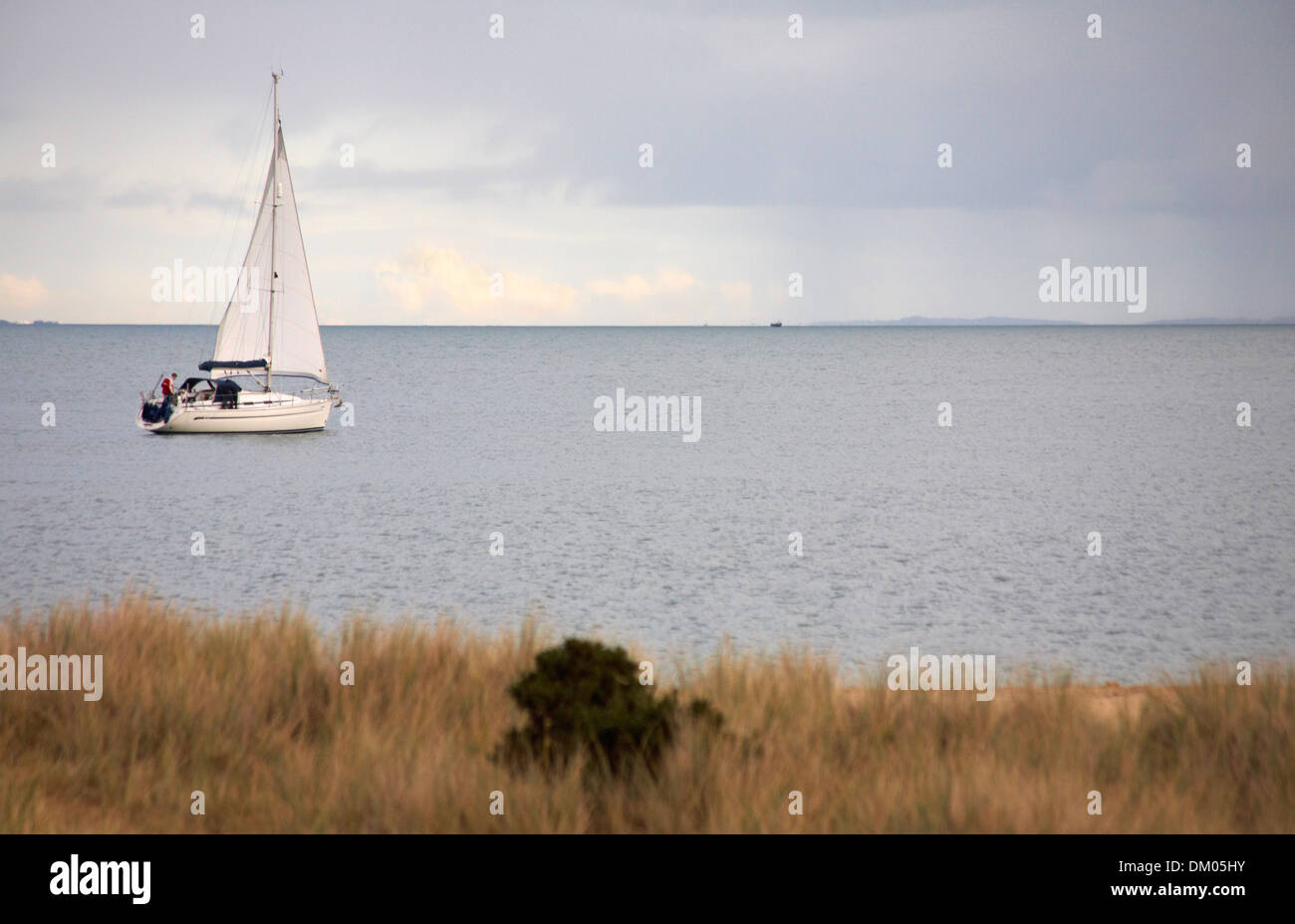 yacht sailing in Poole Harbour past Studland in December Stock Photo ...