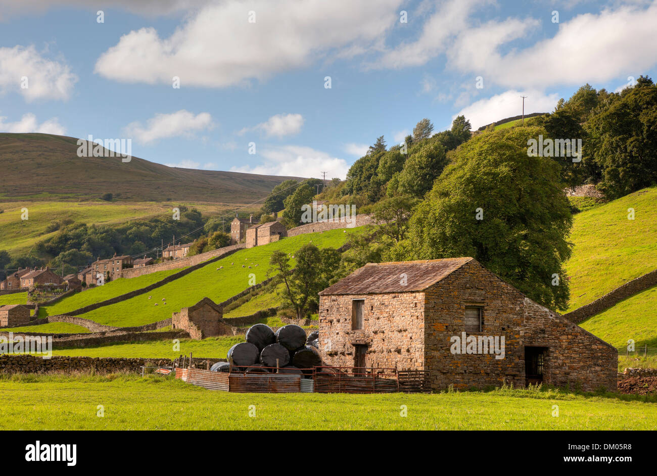 Field barns at Gunnerside, Swaledale, Yorkshire Dales National Park ...