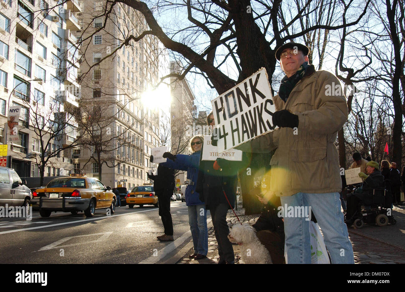 Hawk building nest hi-res stock photography and images - Alamy