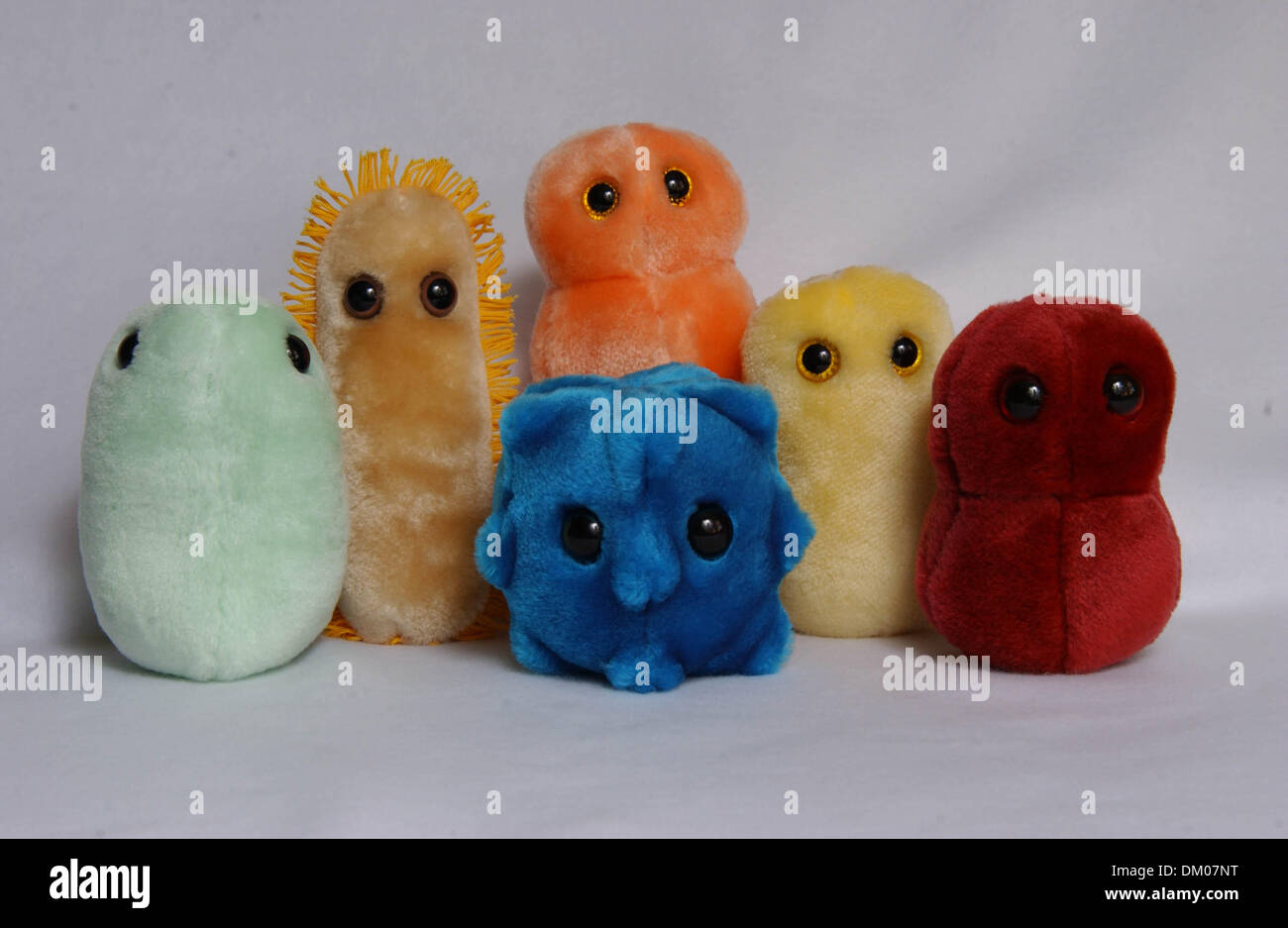 June 19, 2001 - .K41227AR .GIANT MICROBES . ANDREA RENAULT/ HEALTH ...