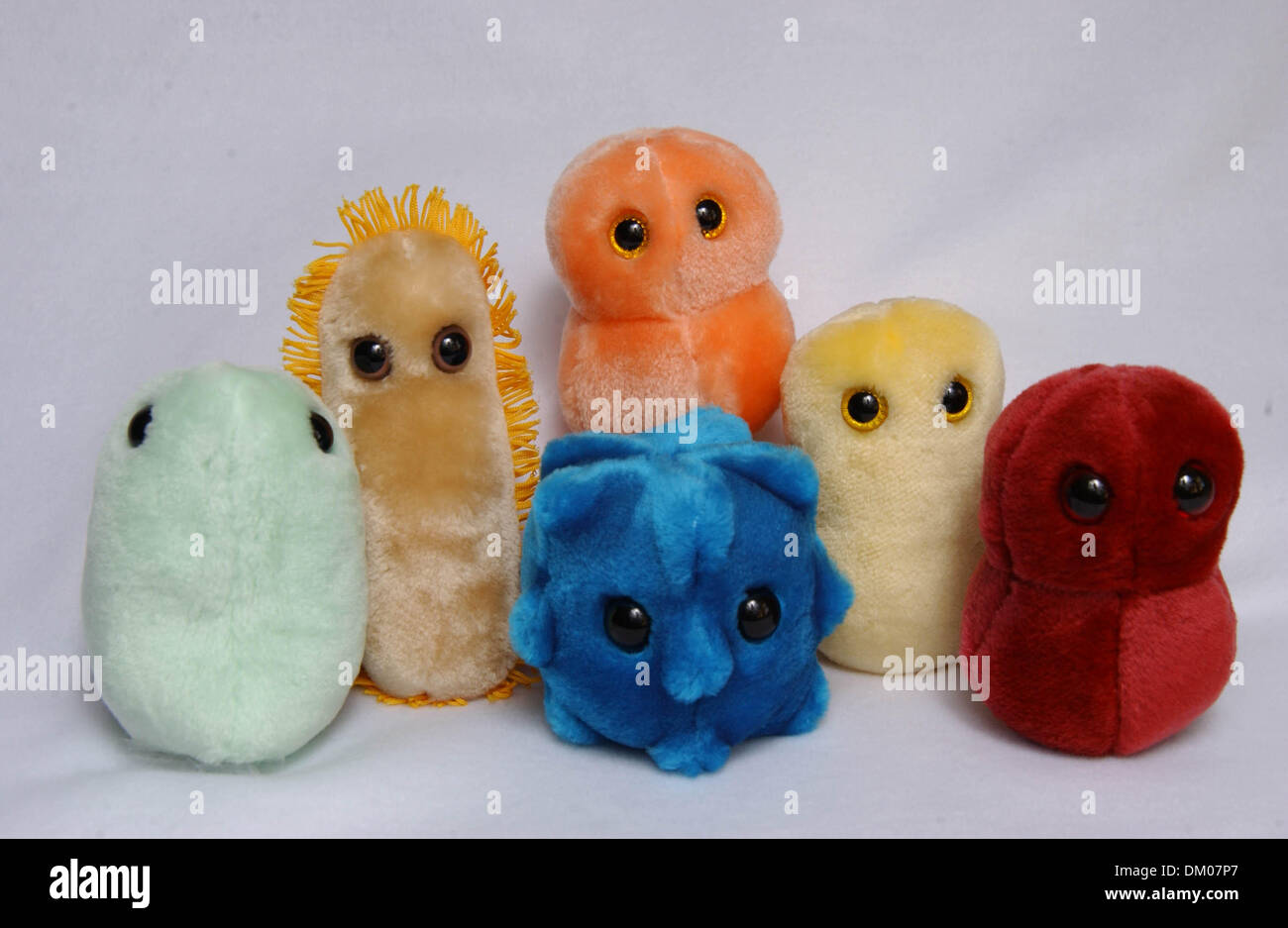 June 19, 2001 - .K41227AR .GIANT MICROBES . ANDREA RENAULT/ HEALTH ...