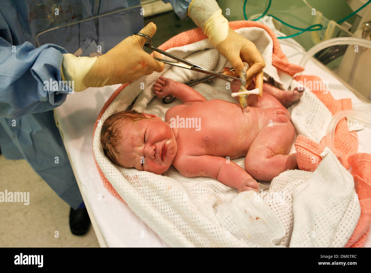 A midwife cuts the umbilical chord of a newborn baby Stock Photo - Alamy