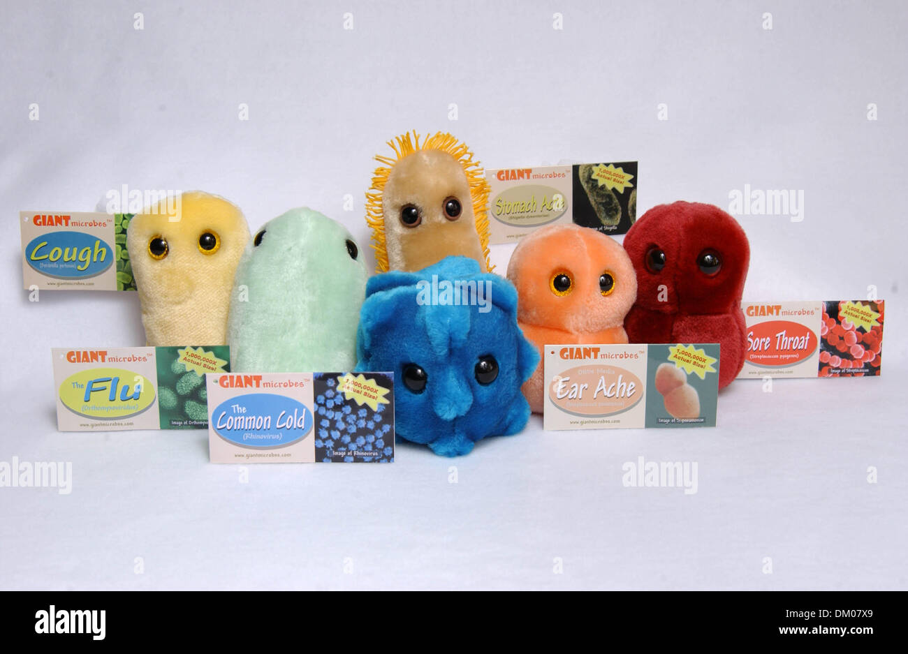 June 19, 2001 - .K41227AR .GIANT MICROBES . ANDREA RENAULT/ HEALTH ...